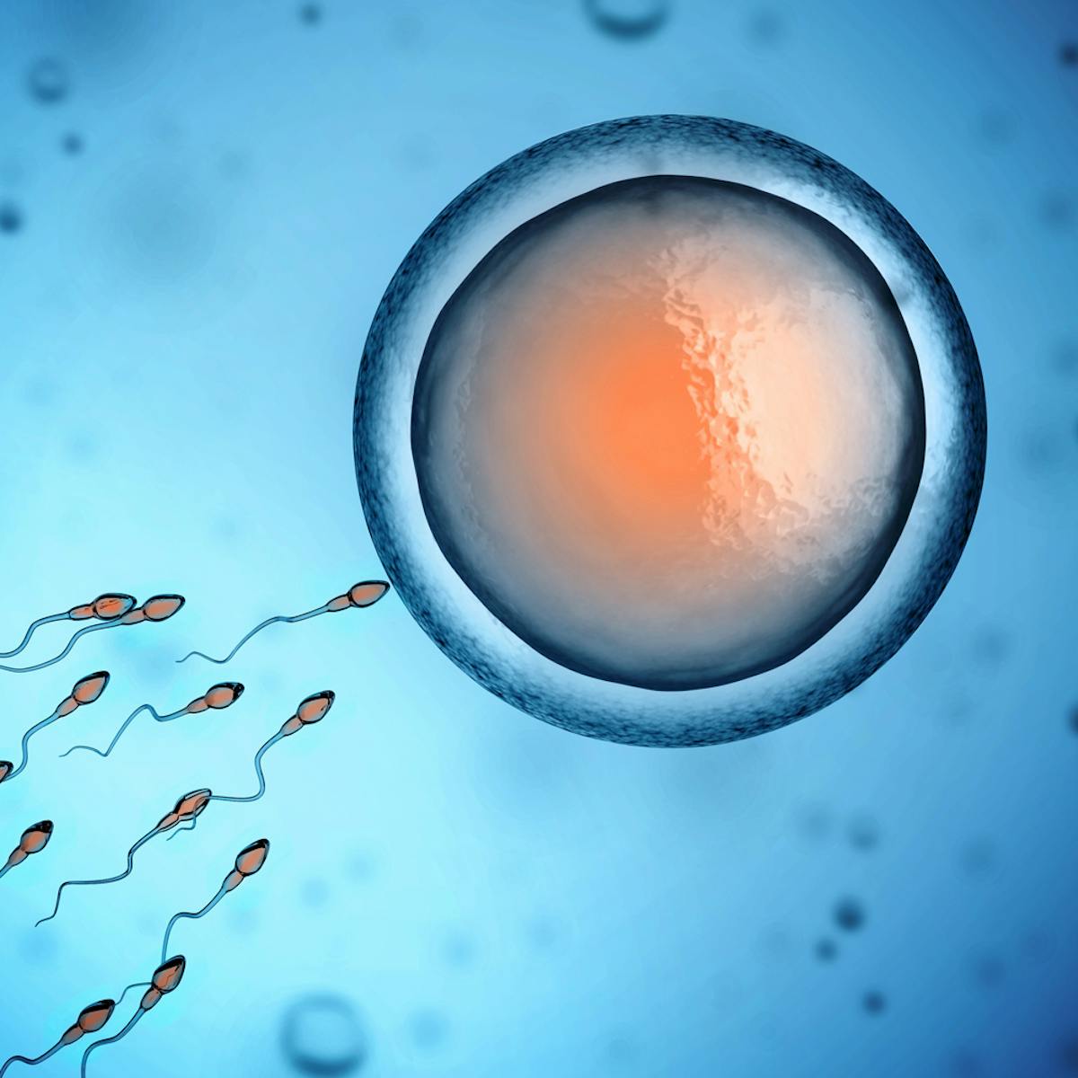 FIV : un premier bébé est né grâce à la recherche embryonnaire ...