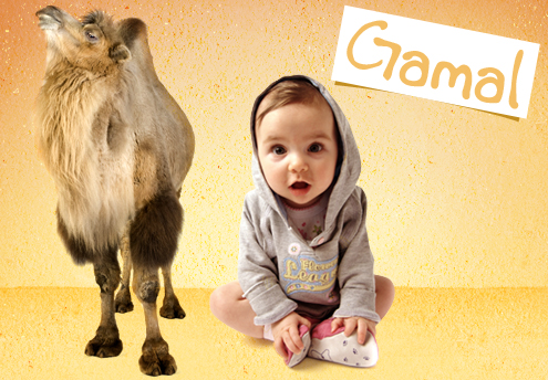 Les prénoms d'origine animaux |Parents.fr | PARENTS.fr