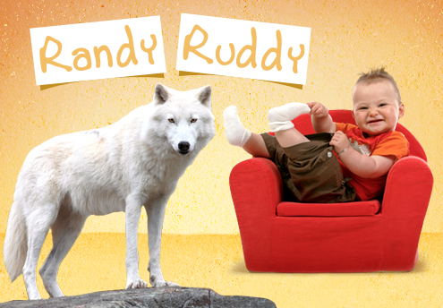 Les prénoms d'origine animaux | Parents