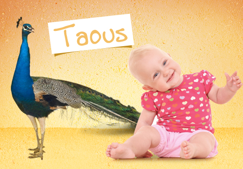 Les prénoms d'origine animaux | Parents