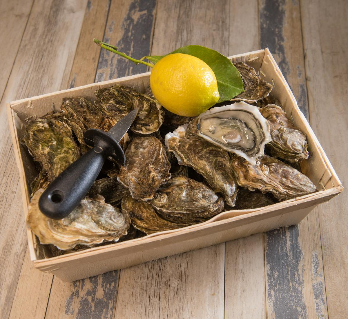 Intoxications alimentaires : après celles du bassin d’Arcachon, ces ...