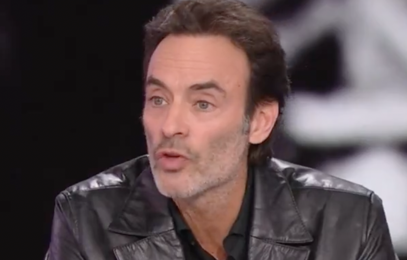 Alain Delon : le contenu de son héritage dévoilé par son fils Anthony ...