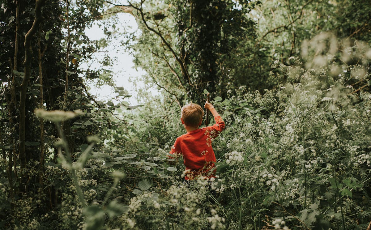 Enfant loup retrouvée en Espagne : 5 histoires marquantes d’enfants ...