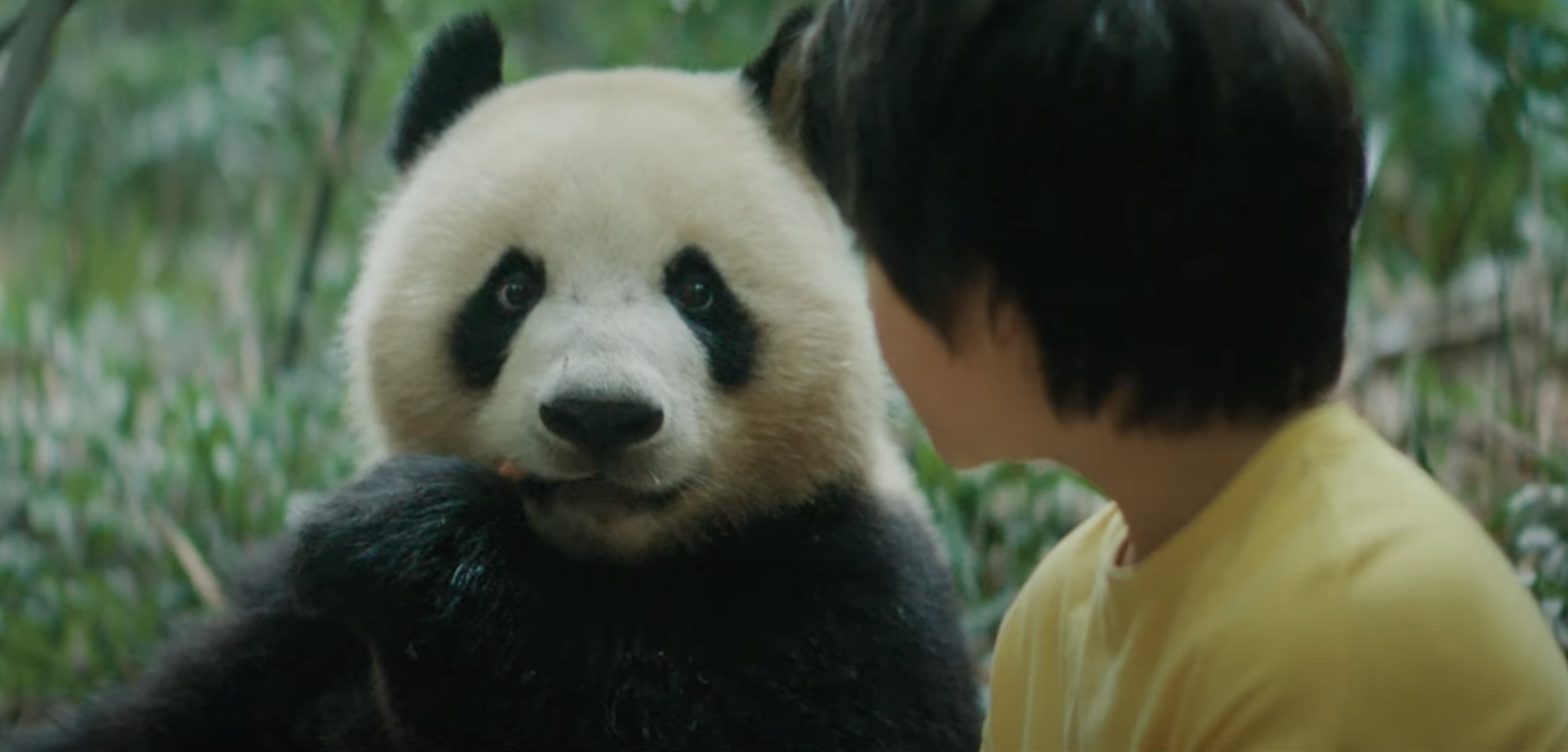 Moon le panda au cinéma, découvrez les prénoms des héros et leur ...